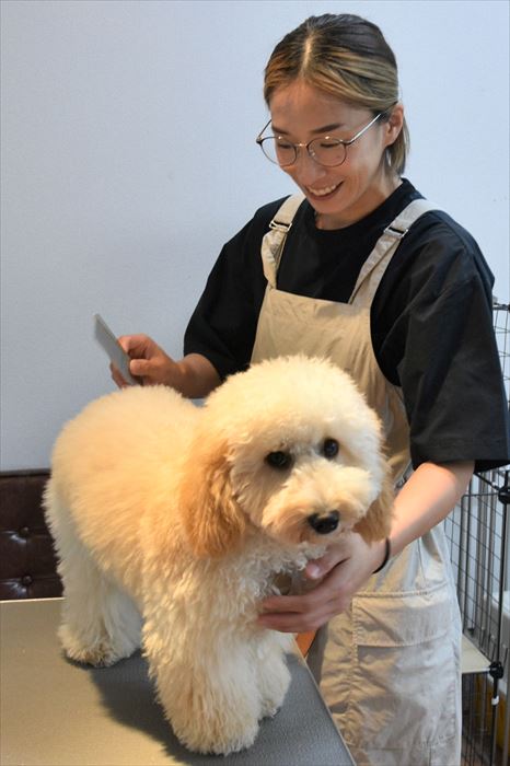 館林の「Siu dog」なら犬も飼い主も満足 短時間で優しく洗います | とりぷれ